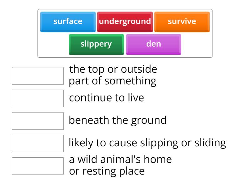 Unit 5 Week 3 Vocab - Match up