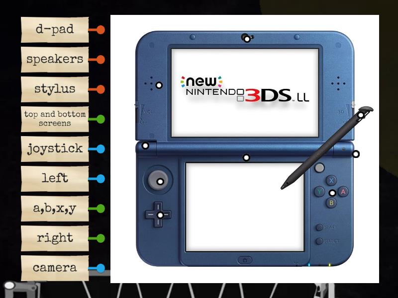 label the 3ds - Labelled diagram