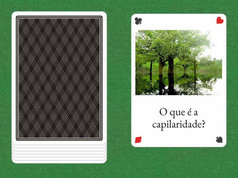 jogo das cartas H2O - Speaking cards