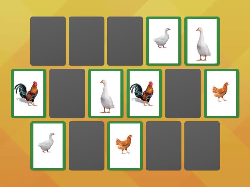madarak - Matching pairs
