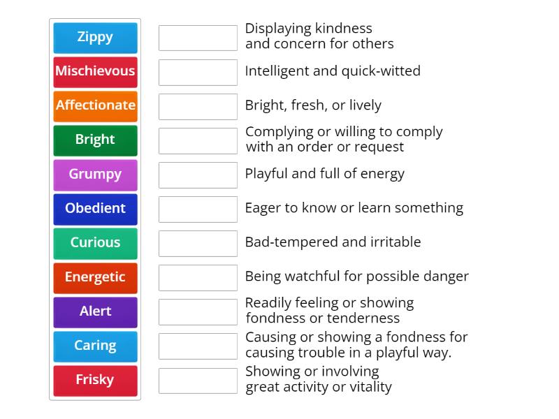 Adjectives to Describe Dogs - Match up
