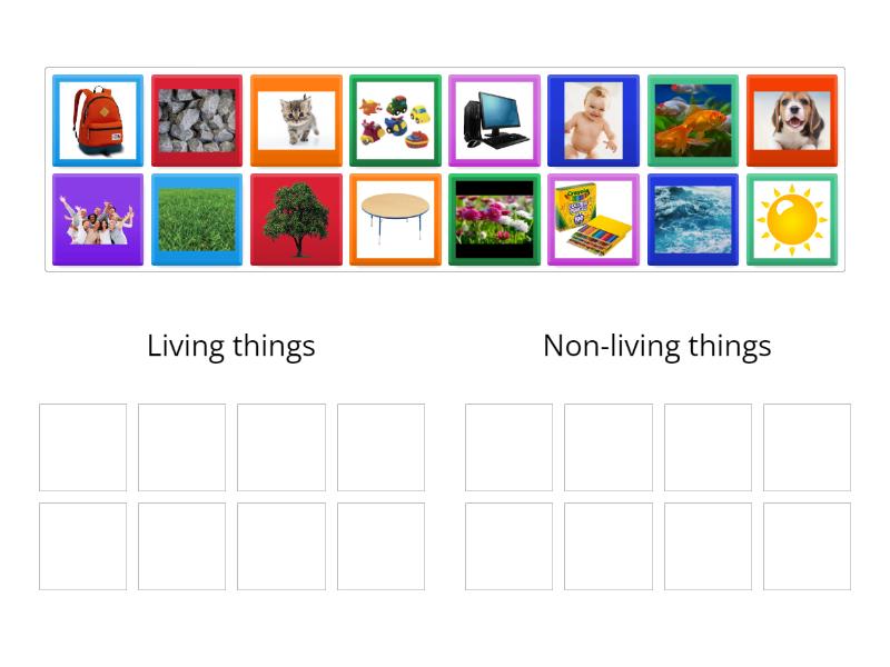 Living and non-living things - Group sort