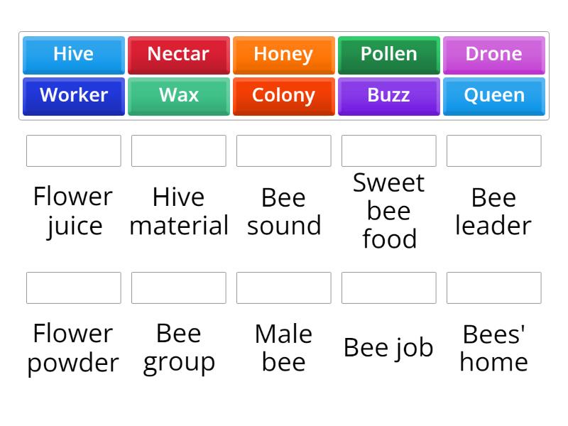 Busy Bee Vocabulary - Match up