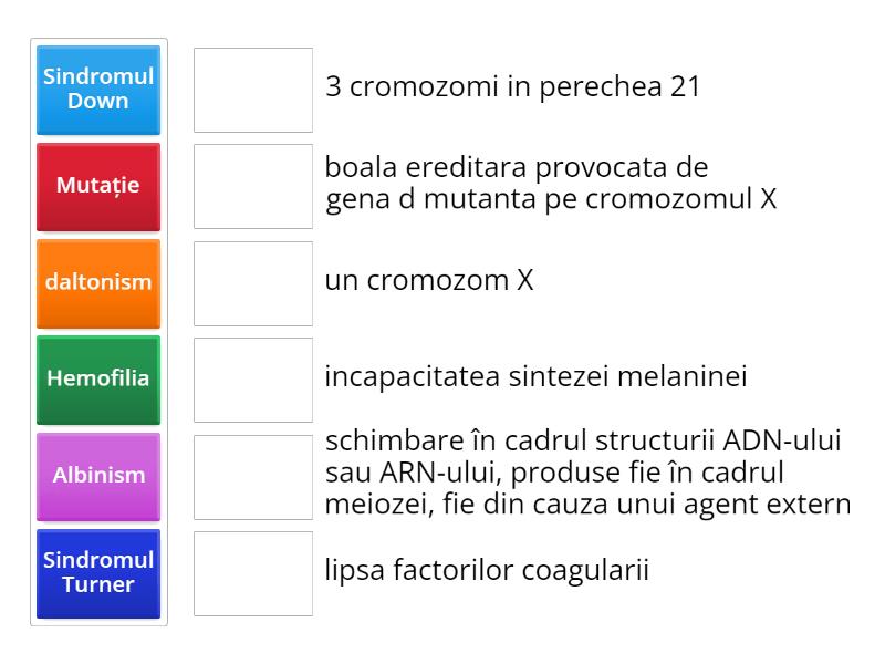 Mutatii genetice - Match up