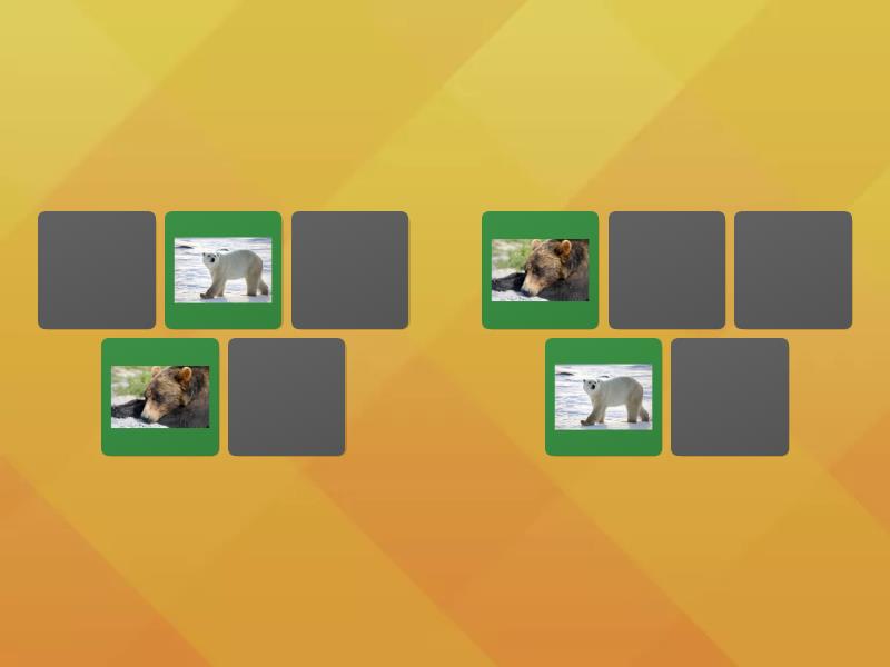 Bears - Matching pairs