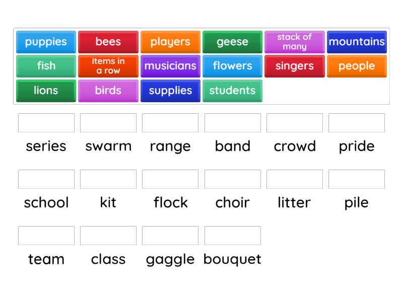 Collective Nouns #2 - Match up