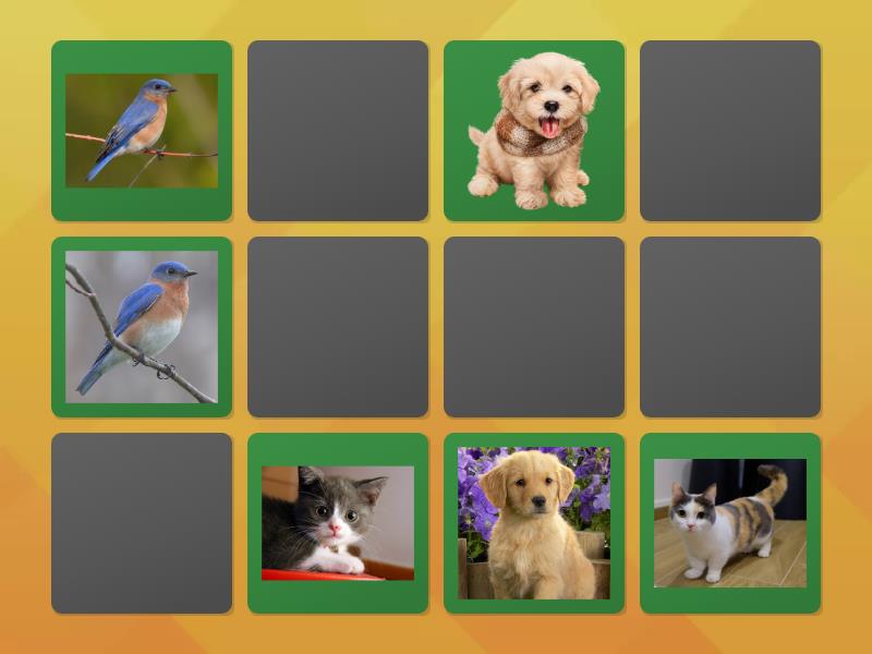 Animal friends (pexeso) - Matching pairs