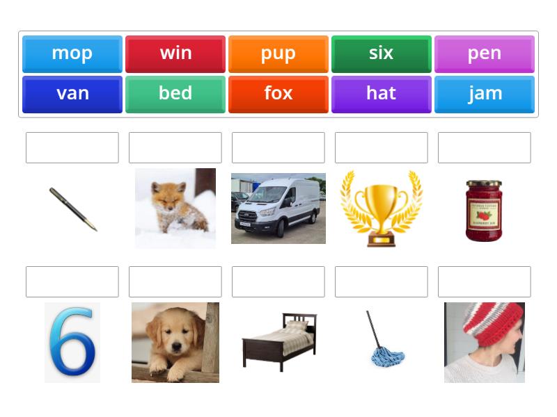 CVC mixed vowels picture match - Match up