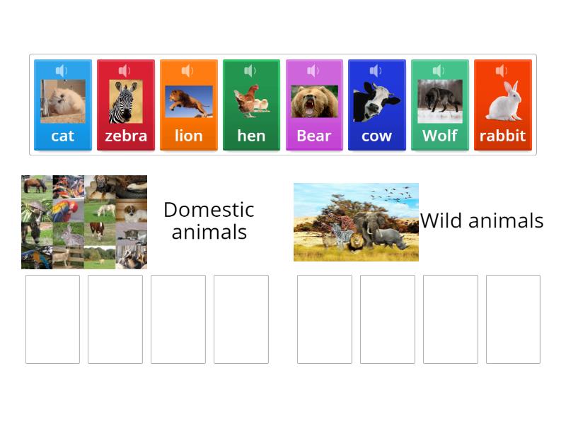 Animals - Group sort