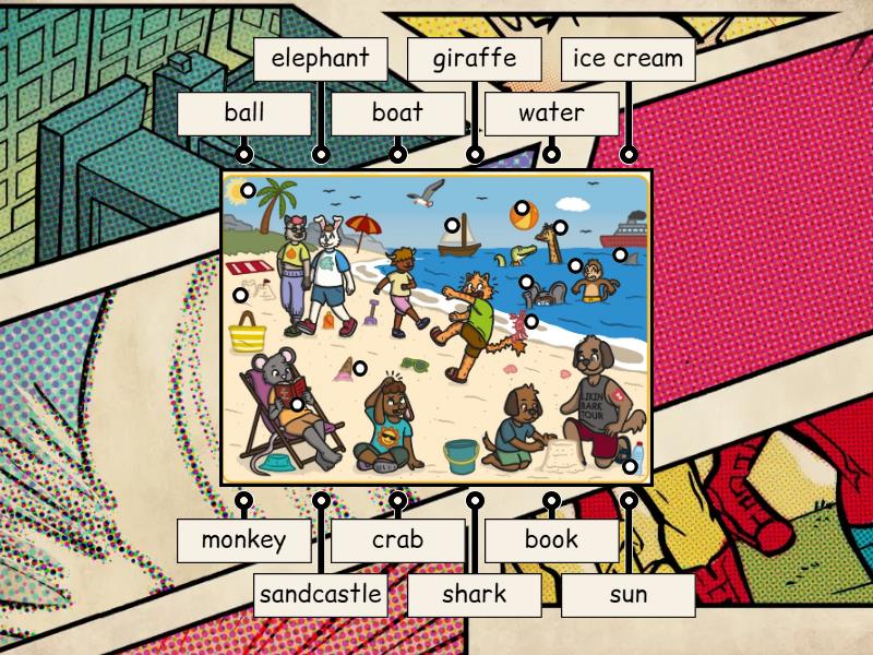 Beach - Labelled diagram