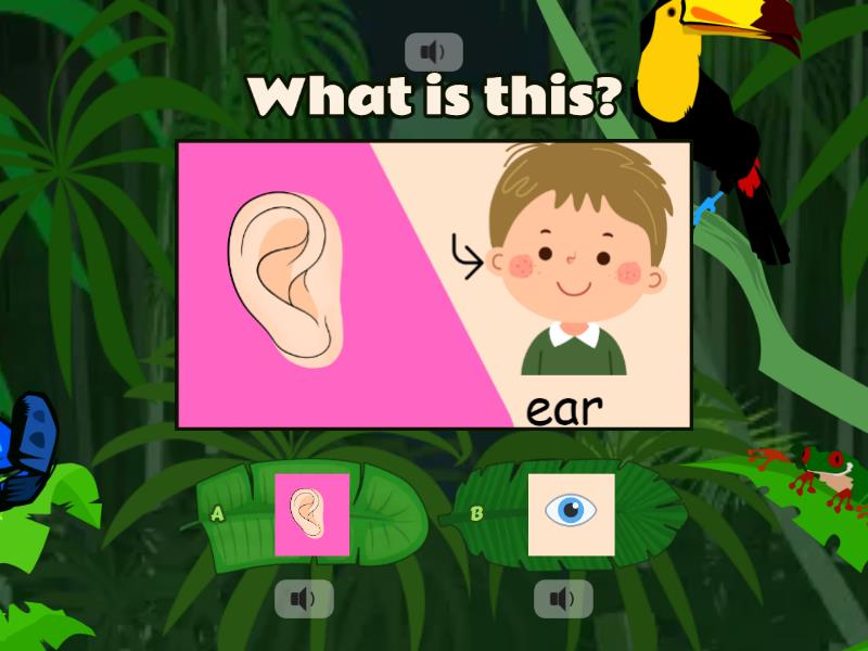 Nemo_Body Parts_Listen and Find Activity - Quiz