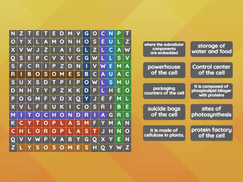 : Cell Structures and Functions - Wordsearch