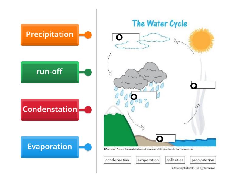 year 4 The water cycle labelling - Labelled diagram