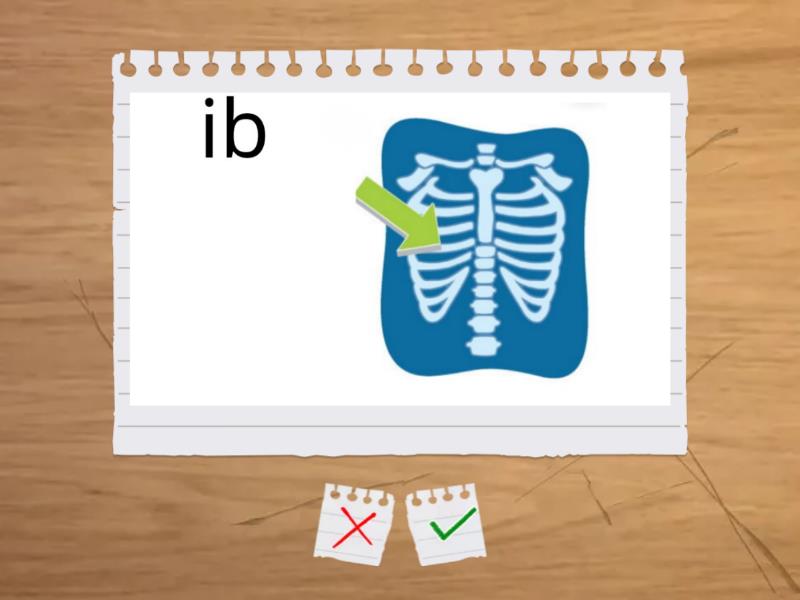 PHONICS 2 UNIT 4: i ip ib id - Flash cards