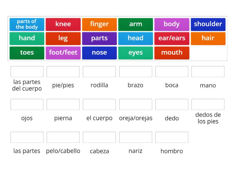 Spanish Review: Parts of the Body Terms - Match up