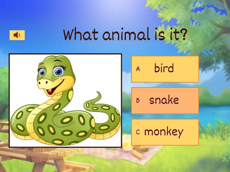Animals - Ms Gemma - Ca 1 - Quiz
