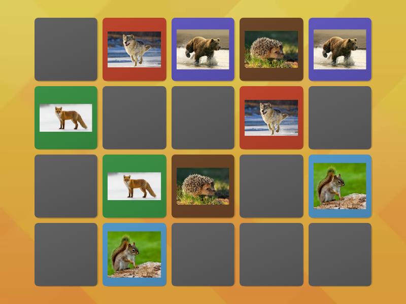 Forest Animals Memo - Matching pairs