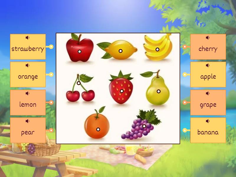 Fruit - Labelled diagram