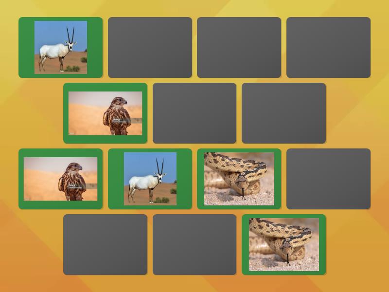 Memory Game - Desert Animals - Matching pairs