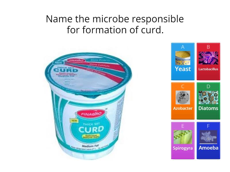 Bacteria in the Cafeteria - Cuestionario