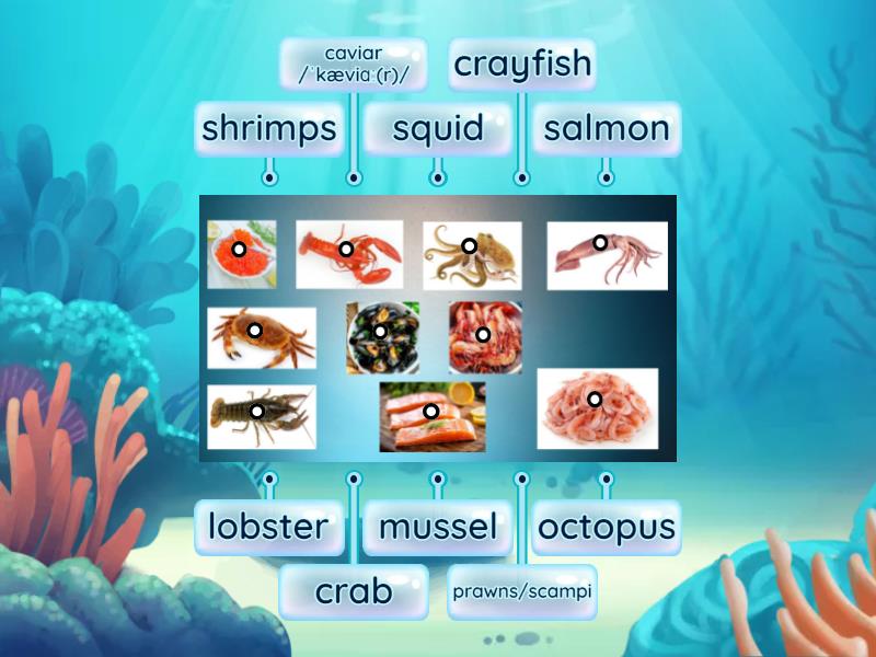 Food "Seafood" - Labelled diagram