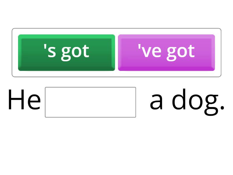 FH2. Lesson 11. Choose the correct option (have got/has got). Short ...