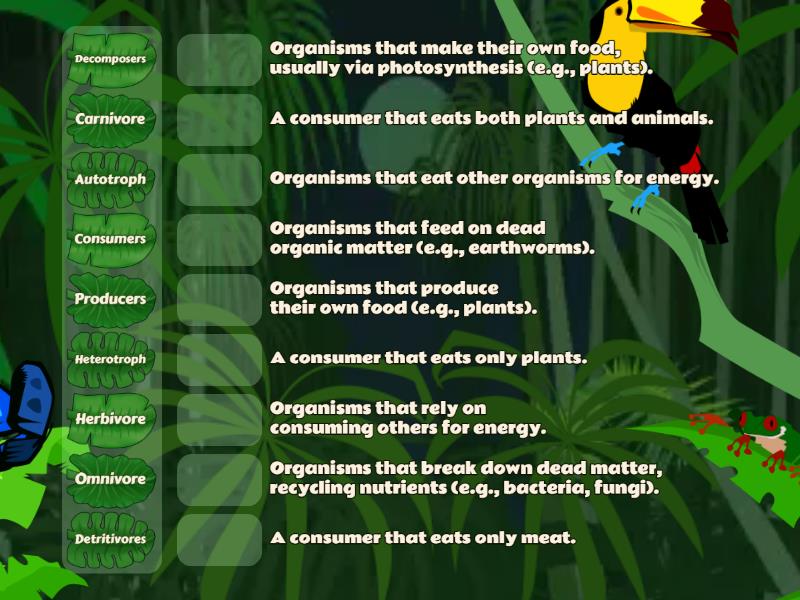 Ecosystem Roles: - Match up