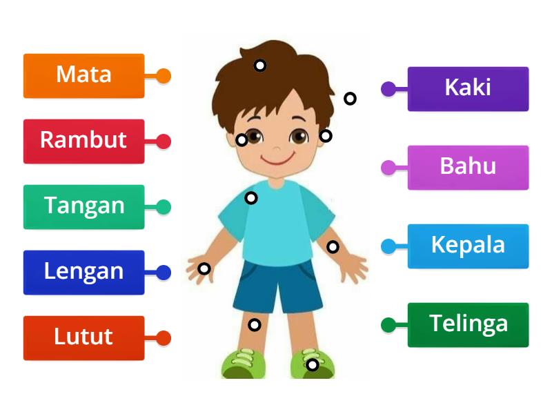 Anggota Badan Saya - Labelled diagram
