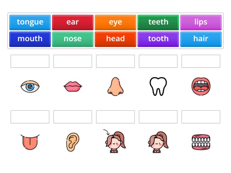 Body Parts - Captions - Face - Match up