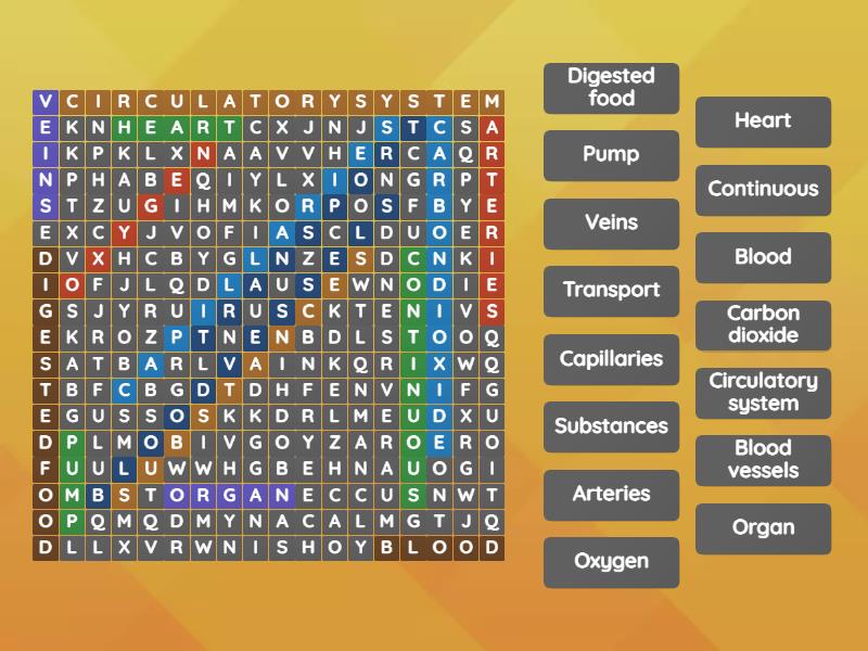 SP Recess - Human Circulatory System - Wordsearch