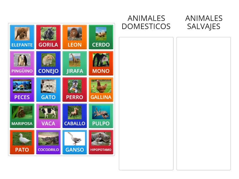 ANIMALES DOMESTICOS Y SALVAJES - EL PROFE LUX - Ordenar por grupo