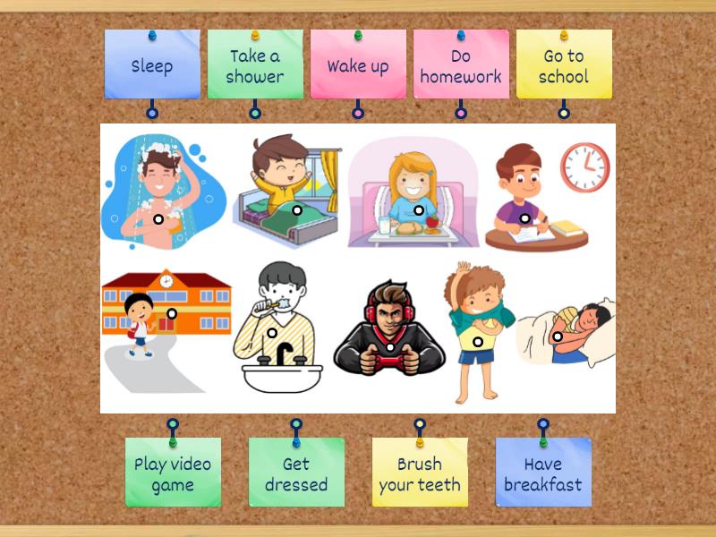 Daily routine - Labelled diagram