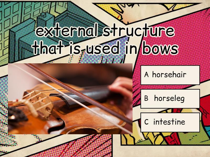 grade 4 lesson 4 external structure and function of animals - Quiz