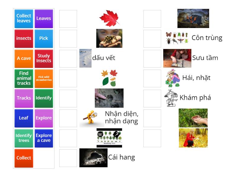 Everybody Up 5 Unit 2 Lesson 1 Vocab - Match up