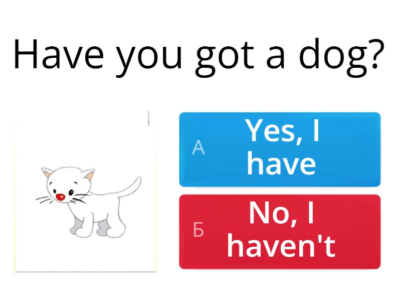 Have you got? - Quiz