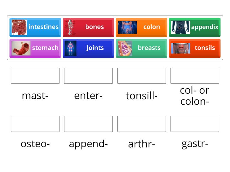 Medical Words for body parts - Match up