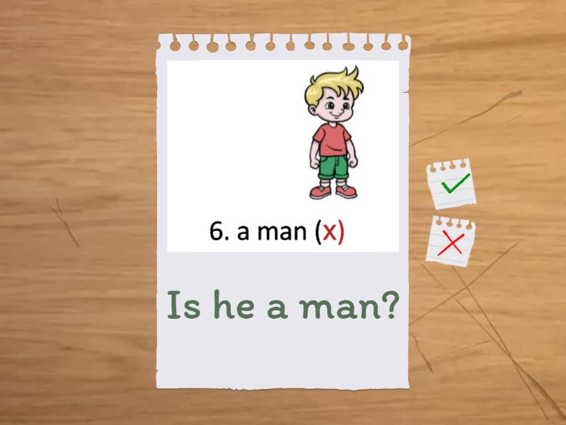 answer the questions - Flash cards