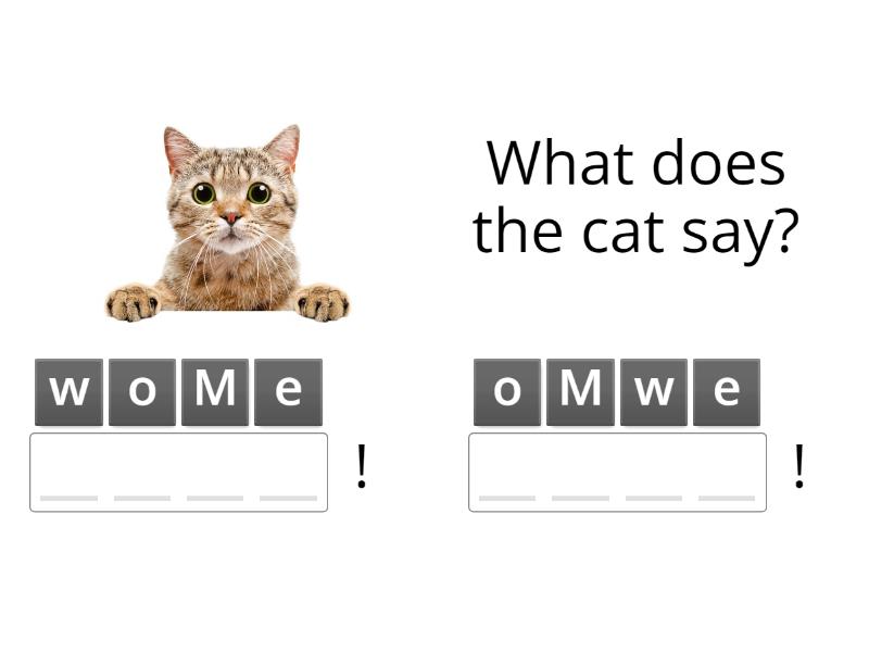 Sound on the farm QA2 - What does the duck say? Quack Quack - Anagram