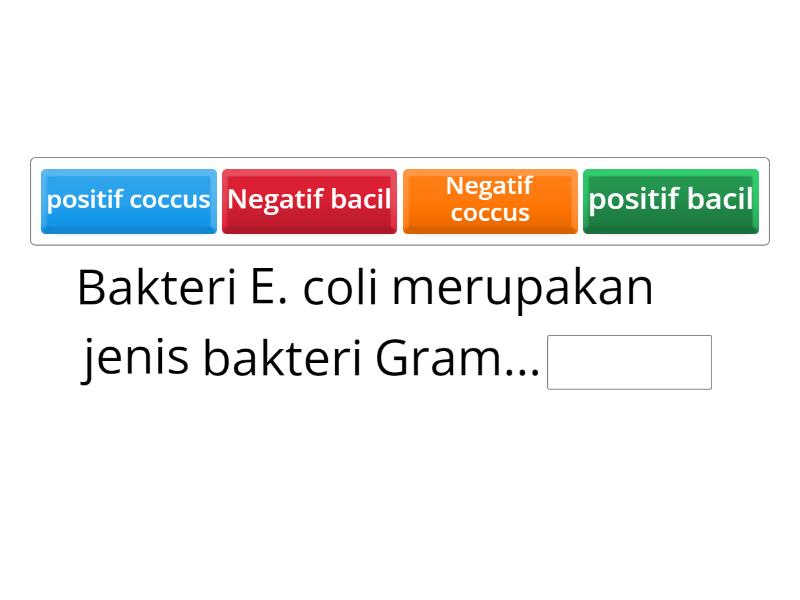 BAKTERI GRAM NEGATIF KOKUS DAN BATANG - Complete the sentence BAKTERI GRAM NEGATIF KOKUS DAN BATANG - Complete the sentence