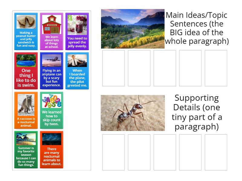 Main Ideas and Details - Group sort