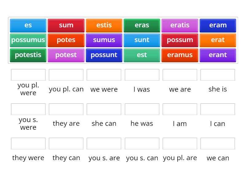sum and possum - Match up