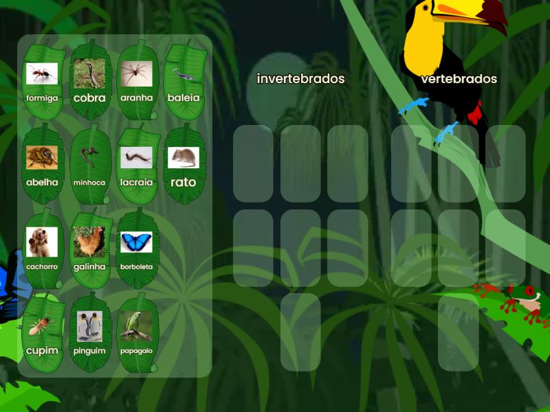 animais - Group sort