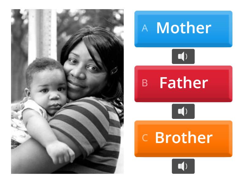 Family Members - Quiz