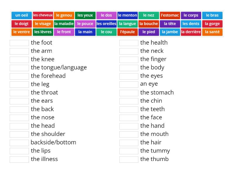 French body parts - Match up