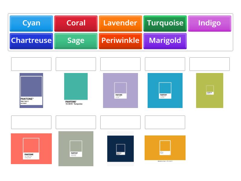 Rare colours - Une las parejas