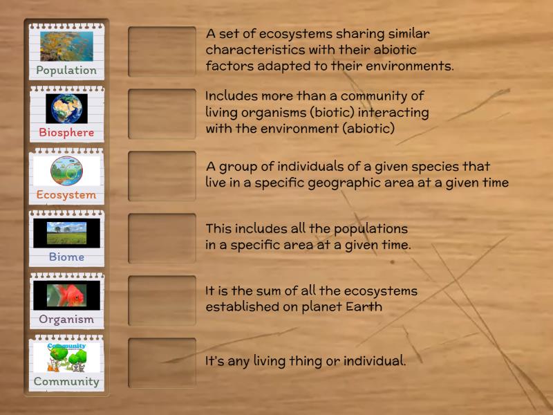 Cellular Levels of Organization - Match up