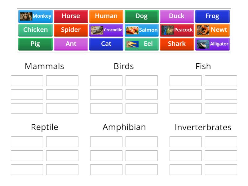 ING : Classes of animals - Group sort