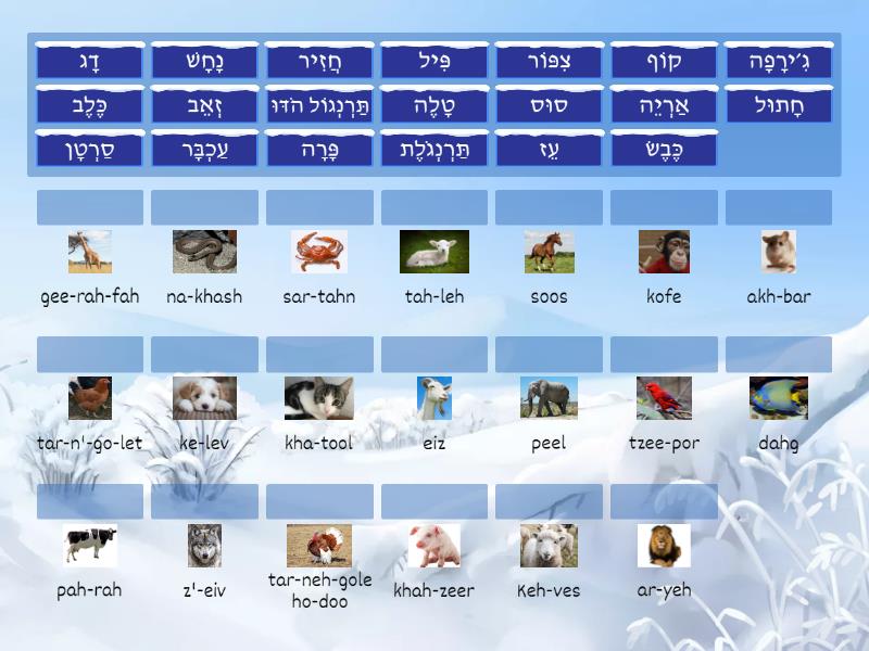 Learning Hebrew - Animals - Match up