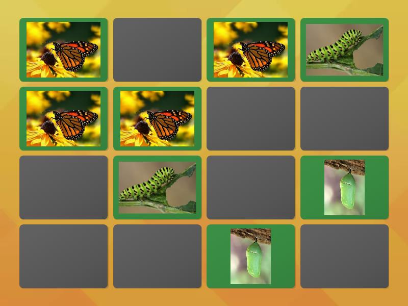 The very hungry caterpillar match - Parejas