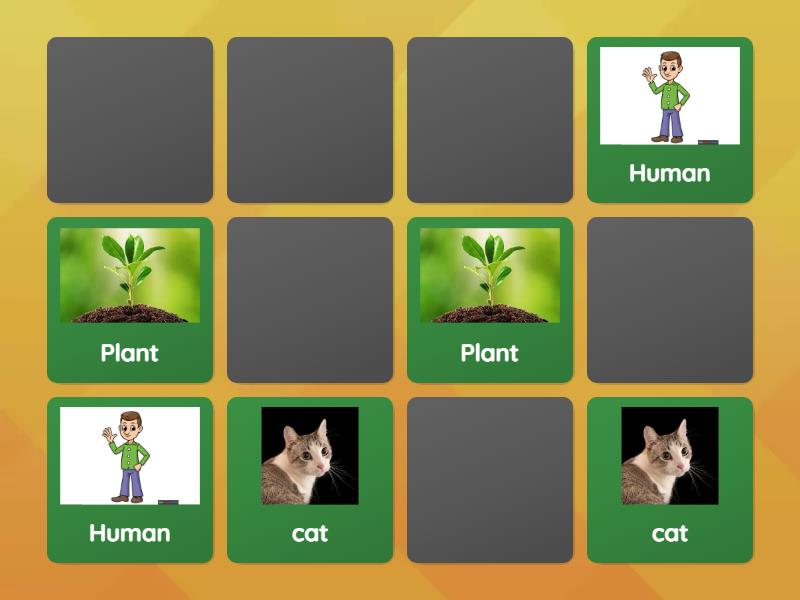 Living things and Machines - Matching pairs